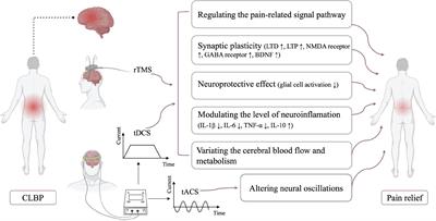 Frontiers | Non-invasive brain neuromodulation techniques for chronic low back pain